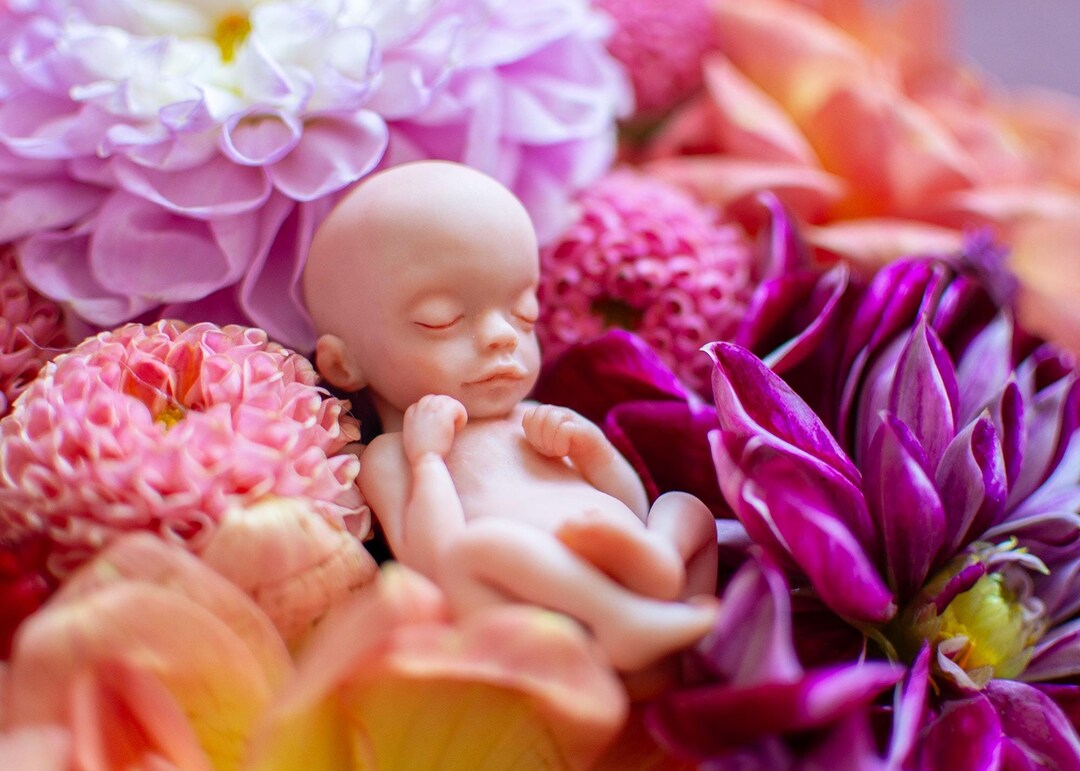 12 Week Gestation Female Fetus Sculpture - Handmade Unique Honor ...