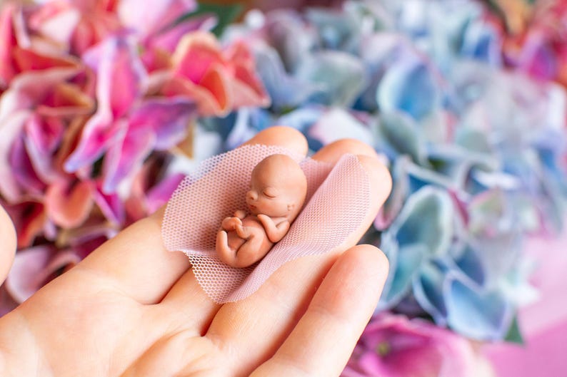 8/9 Week Gestation Embryo Sculpture – Handmade Honor Memorial Keepsake ...