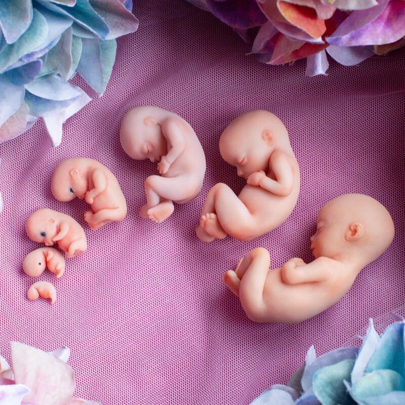 Fetus Art - Etsy