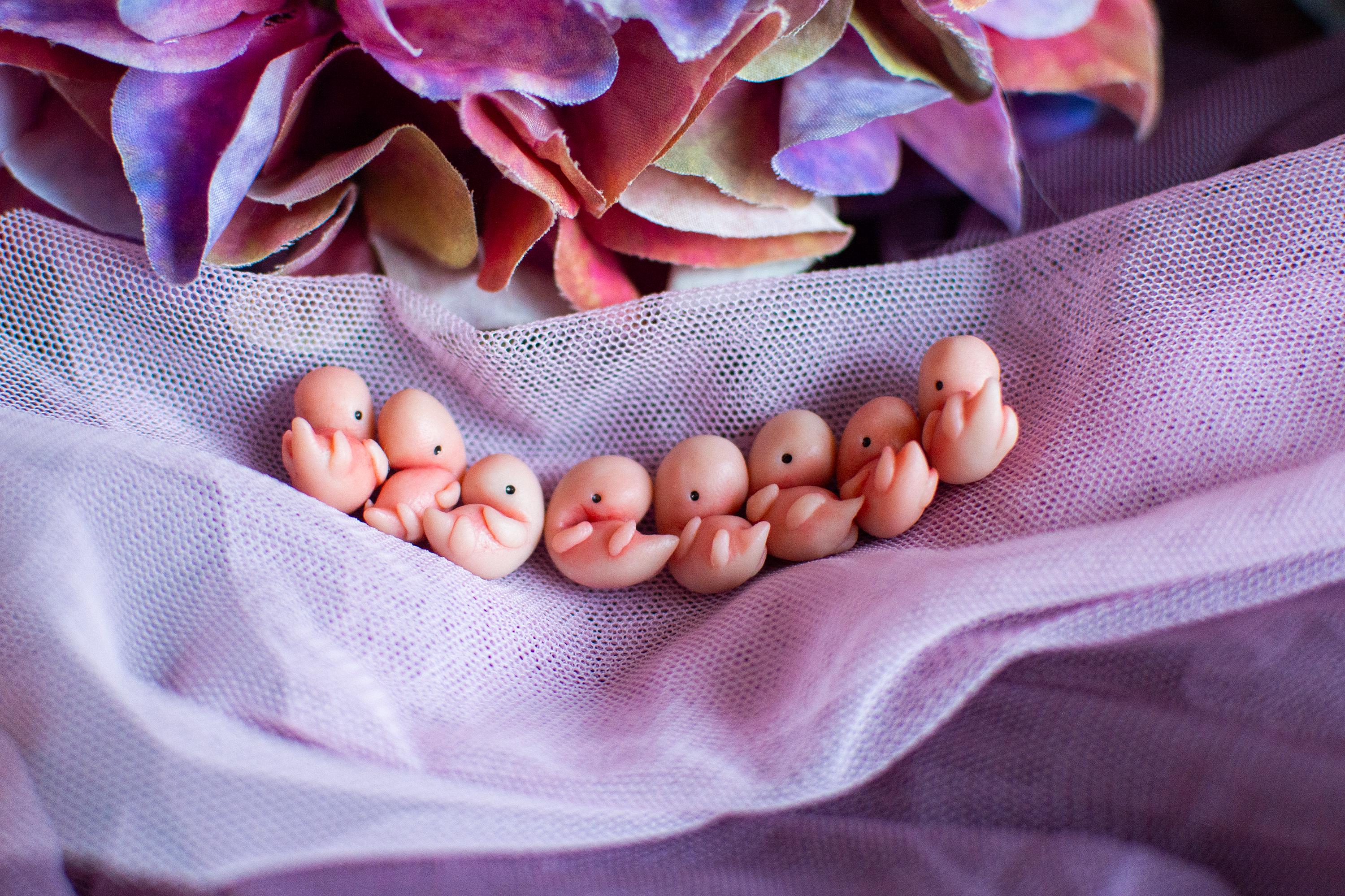 7 Week Gestation Embryo Sculpture Handmade Unique Honor Memorial ...