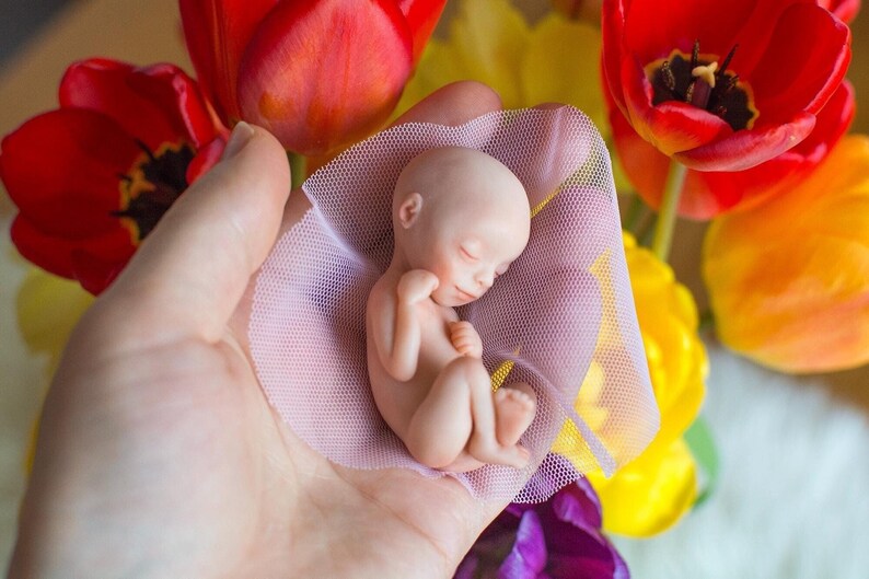 12 Week Gestation Female Fetus 10 Weeks Post-conception Sculpture ...