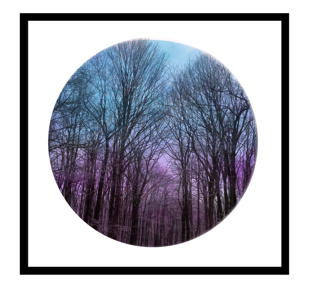18x18 Photograph Hand Colored Fun Wall Art Printed on Watercolor Paper ...