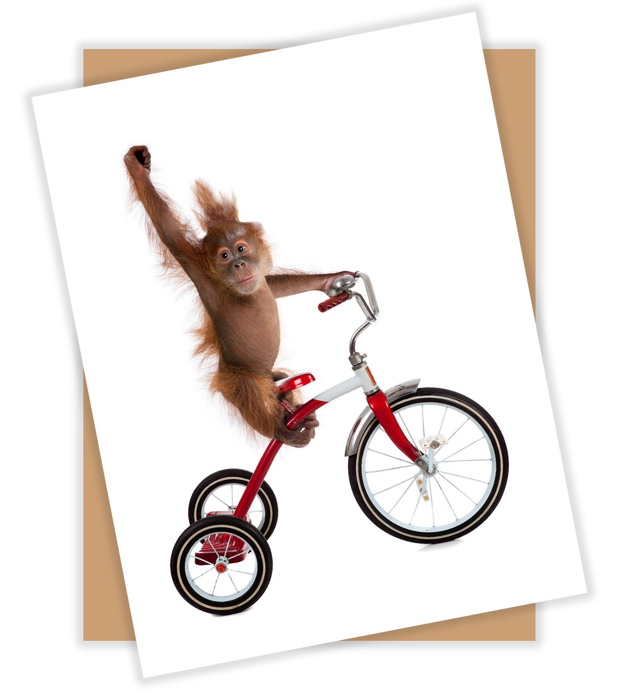 Funny Monkey Greeting Card Blank Greeting Card Fun Monkey - Etsy UK