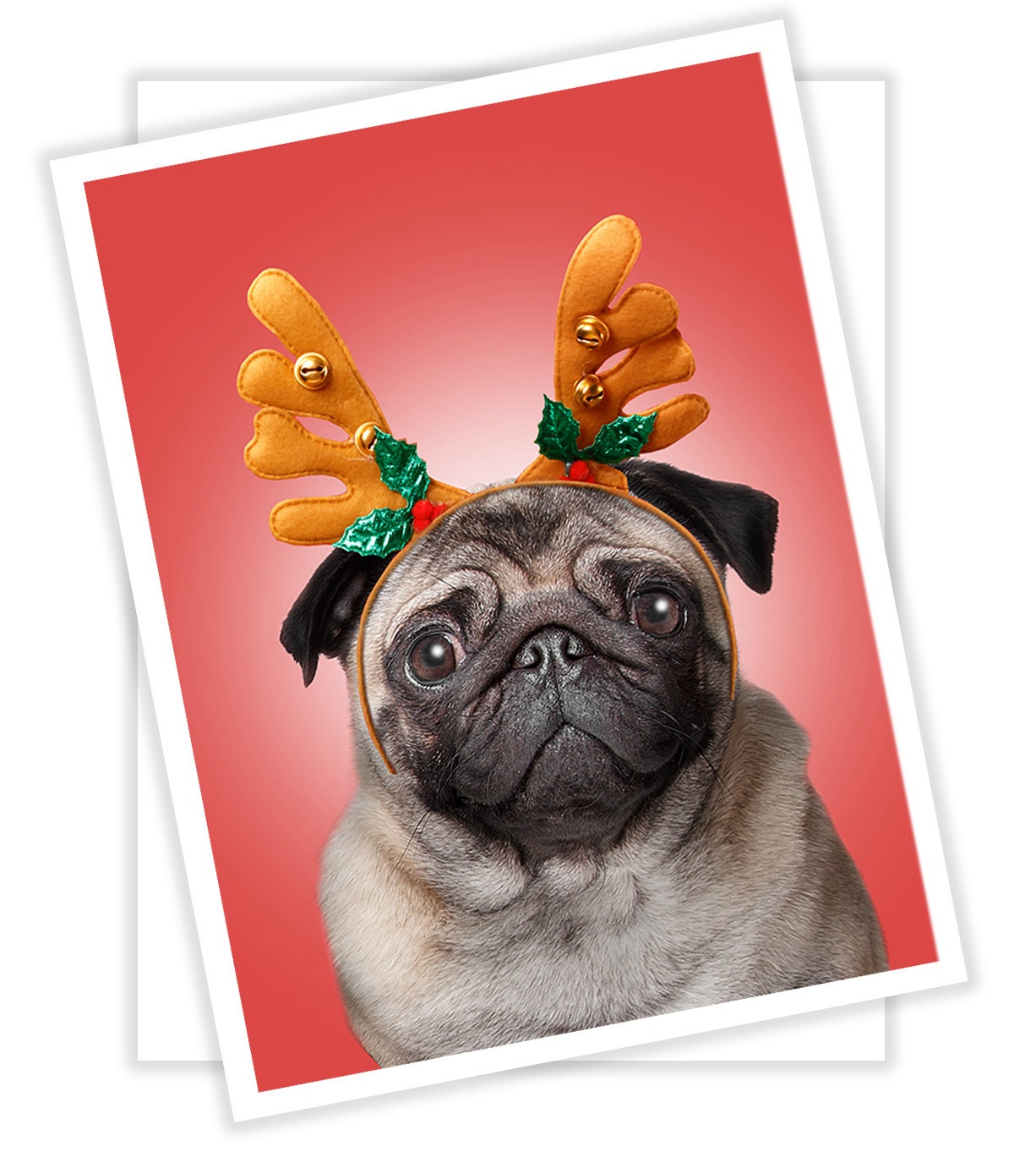 Pug In A Gorilla Suit