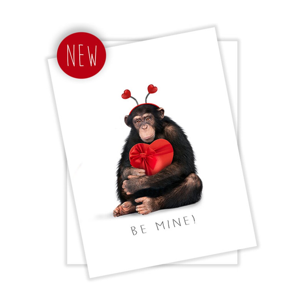 5 Valentine's Day Monkey Blank Greeting Cards, Fun Monkey With Heart ...
