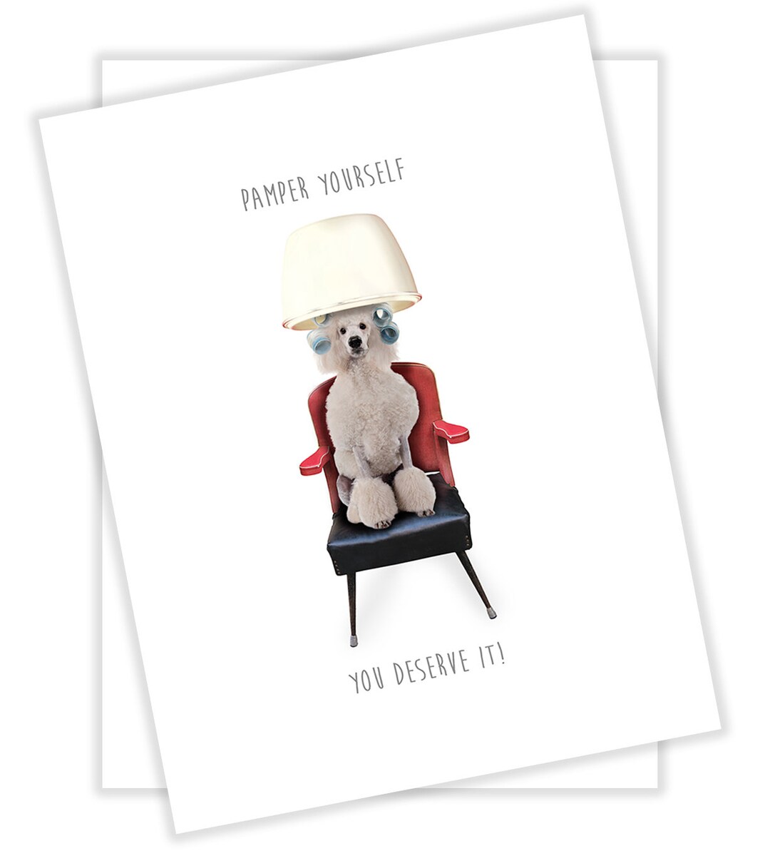 Pamper Yourself With Poodle Under the Hairdryer, Funny Dog Blank Card ...