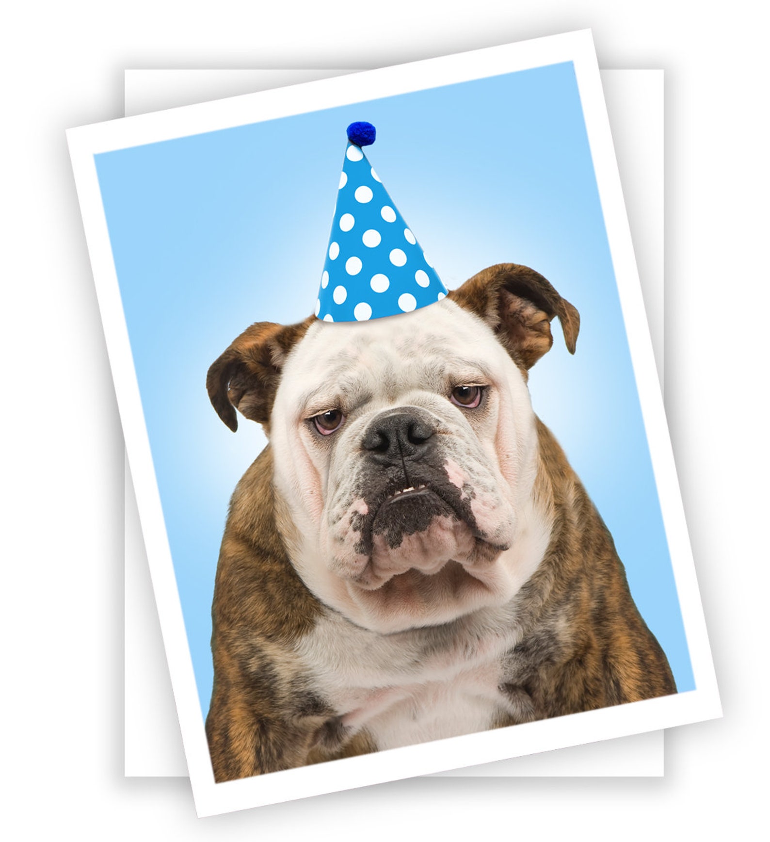 Funny Bulldog Birthday Card Fun Greeting Card Bulldog Art Bulldog With ...