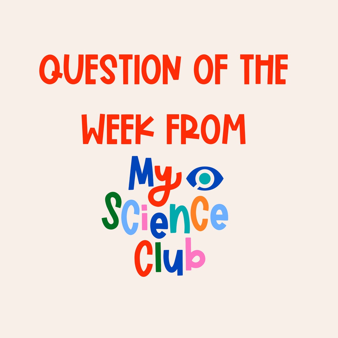 Question of the Week - Set 5 - Etsy