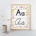 Cursive & Print Classroom Alphabet Posters Butterfly Garden Floral - Etsy