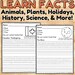 October Handwriting Packet Handwriting Practice Pages for Kids - Etsy
