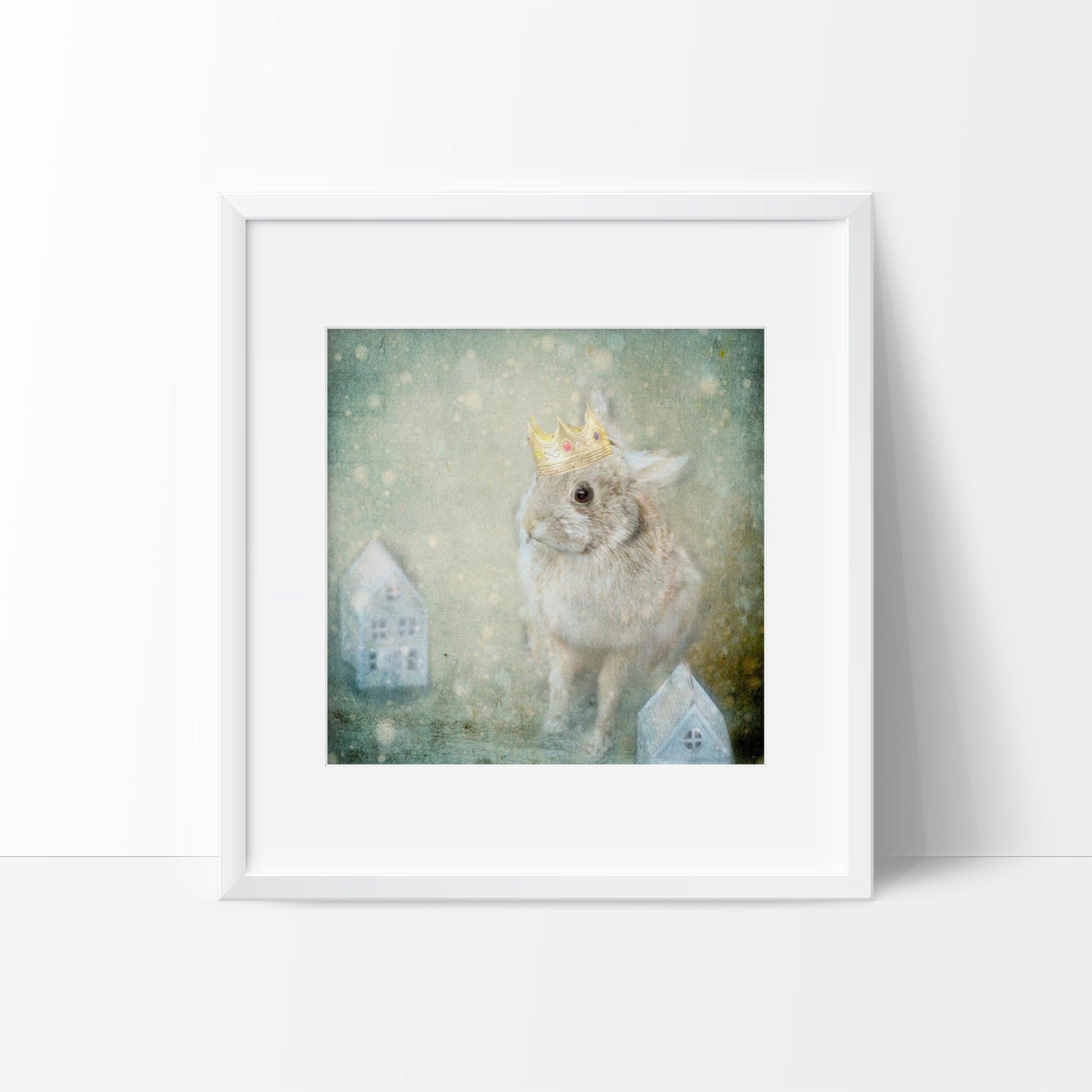 Surreal Rabbit Photo, Rabbit Photo, Bunny Art, Bunny Print, Rabbit ...