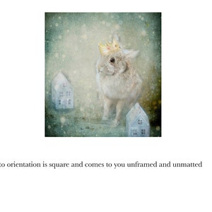 Surreal Rabbit Photo, Rabbit Photo, Bunny Art, Bunny Print, Rabbit ...