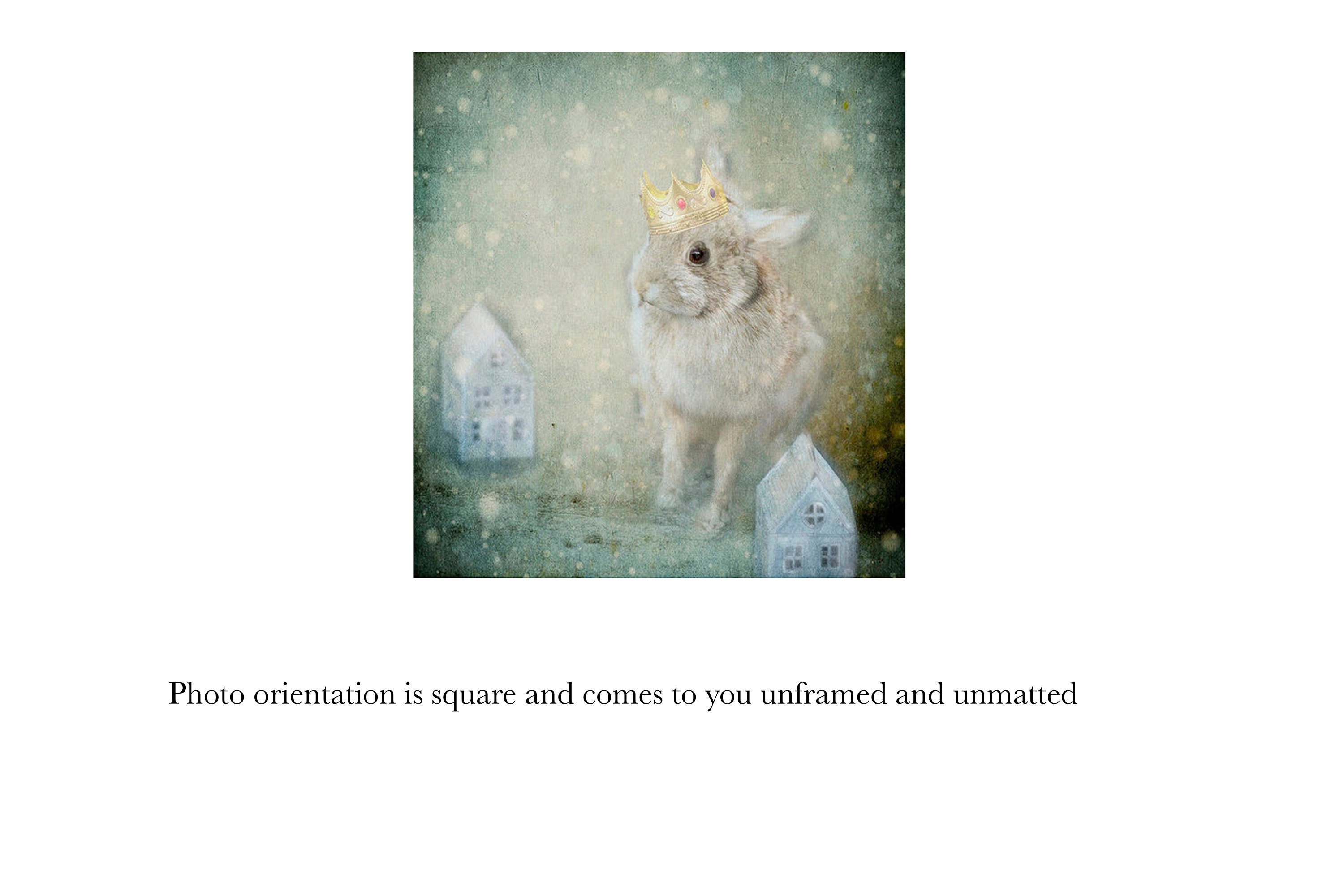 Surreal Rabbit Photo, Rabbit Photo, Bunny Art, Bunny Print, Rabbit ...