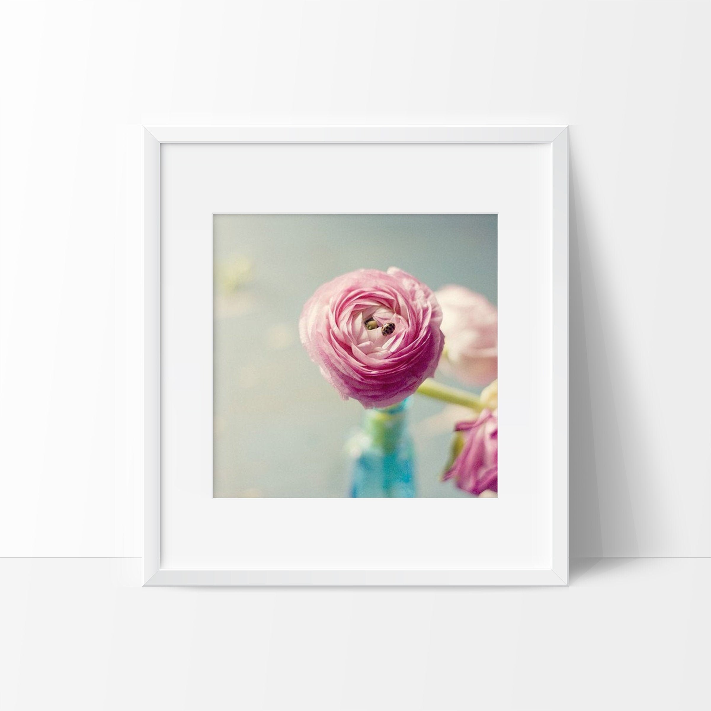 Ranunculus Print, Ranunculus Photo, Ladybug Print, Insect Photo, Pink ...