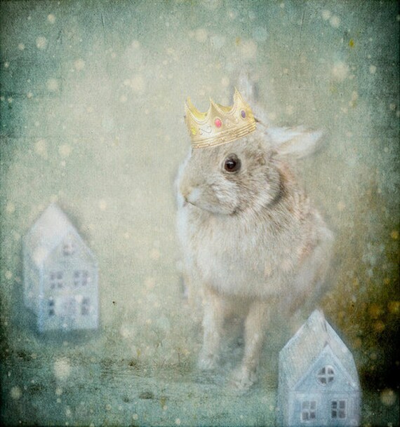 Surreal Rabbit Photo Rabbit Photo Bunny Art Bunny Print | Etsy