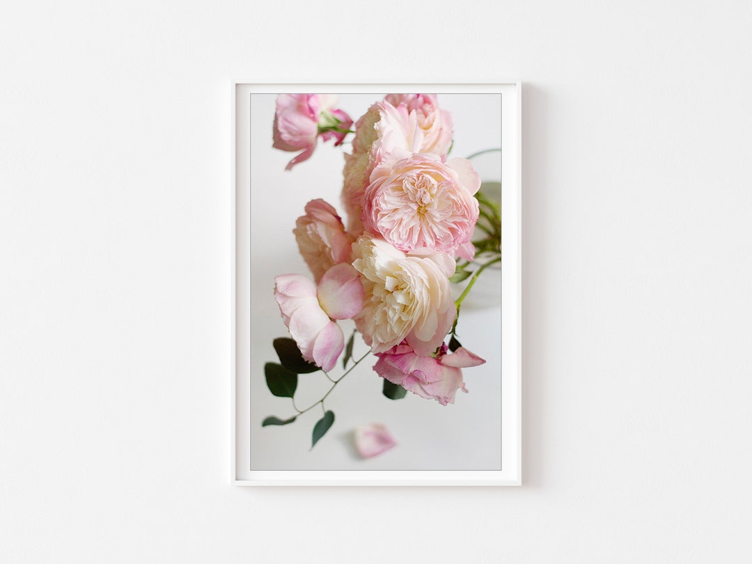 Pink Roses Photo, Pale Pink Roses Print, Botanical Wall Art, Girls Room ...