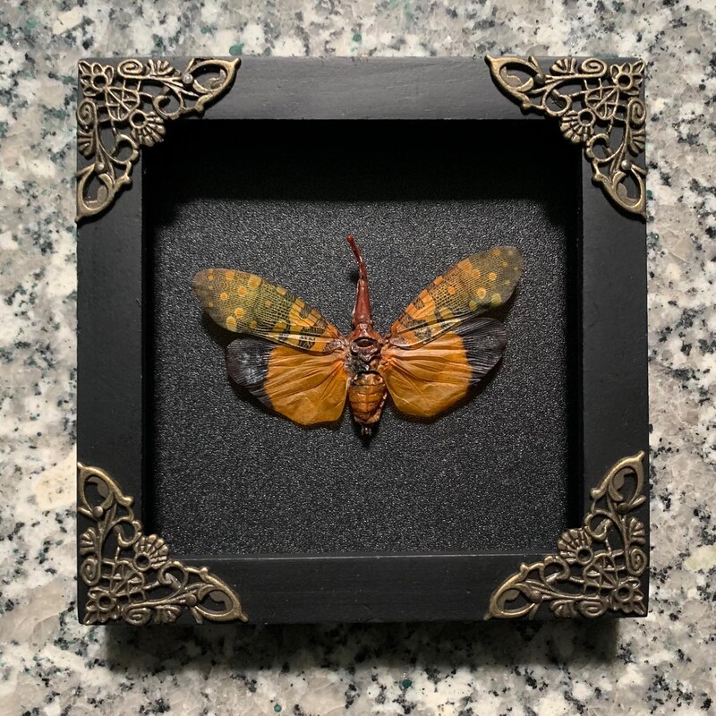 Insect Wall Hanging - Etsy