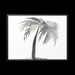 Lone Palm Eco Friendly Framed Palm Tree Wall Art Decor - Etsy