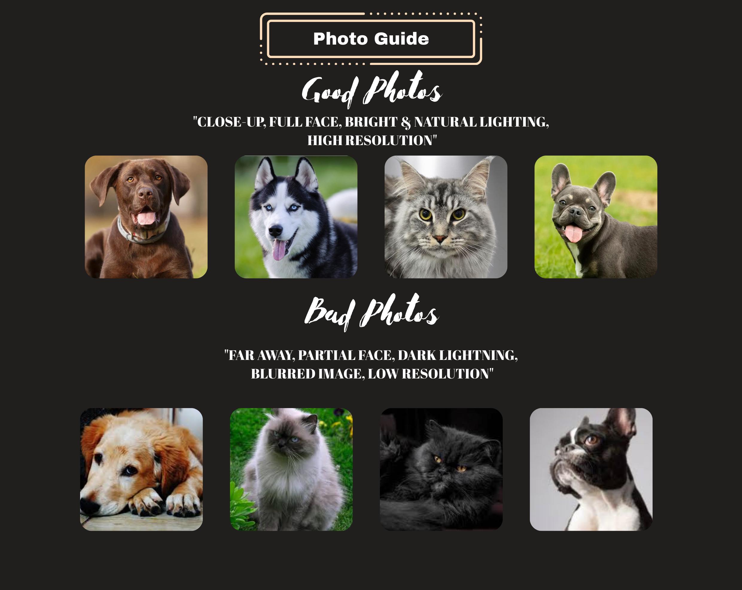 Custom Rococo Cat Couple Portrait – Printable Digital Pet Art in Pink ...