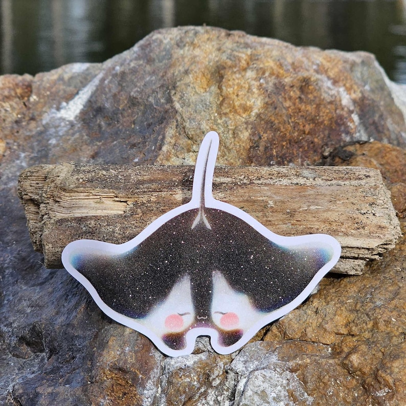 Manta Ray Sand Glitter Frosted Sticker - Etsy