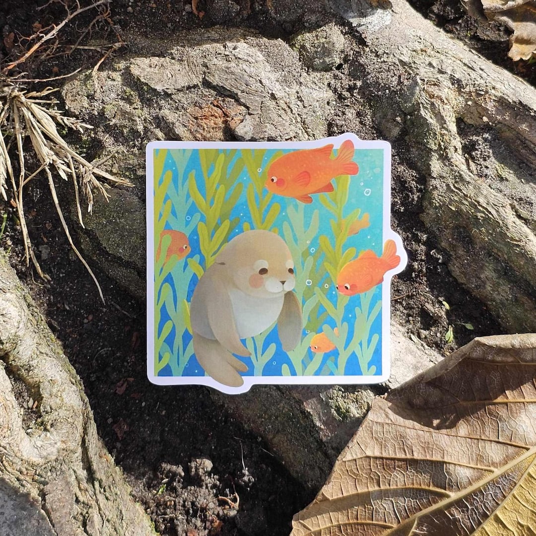 Sea Lion, Kelp Forest, Garibaldi Matte Vinyl Sticker - Etsy