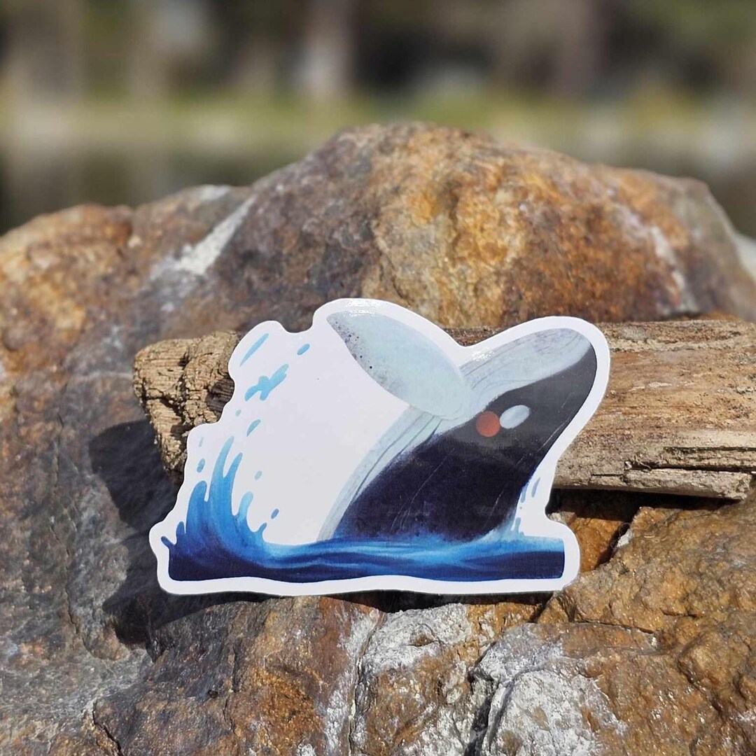 Blue Whale Clear Sticker - Etsy