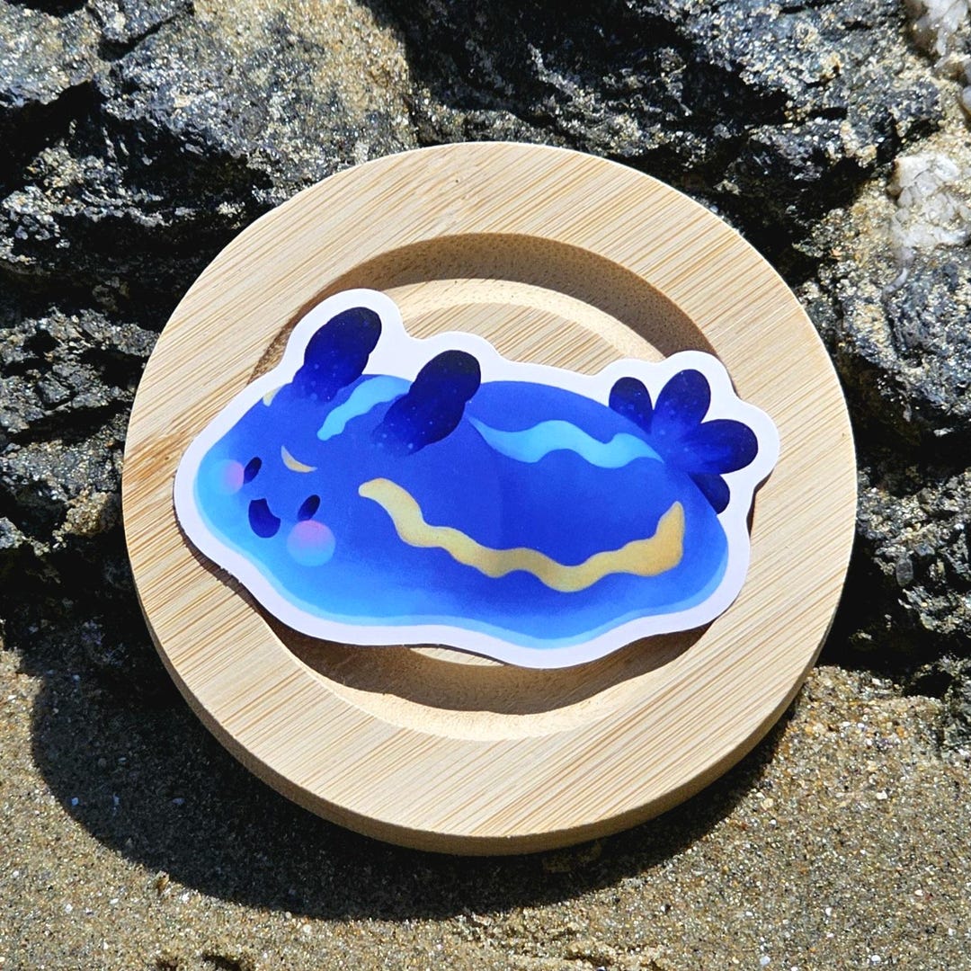 Nudibranch Sea Slug Sticker | Porter's Chromodorid (felimare Porterae ...