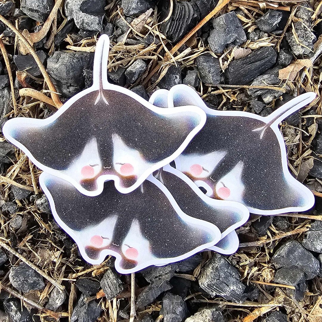 Manta Ray Sand Glitter Frosted Sticker - Etsy