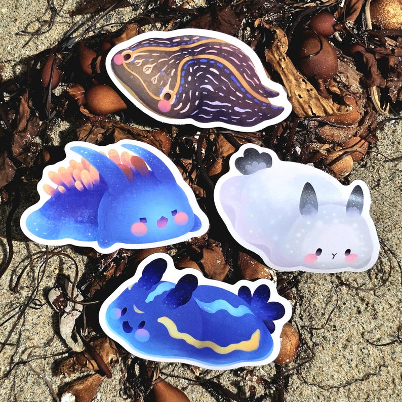 Nudibranch Sea Slug Sticker | Porter's Chromodorid (felimare Porterae ...
