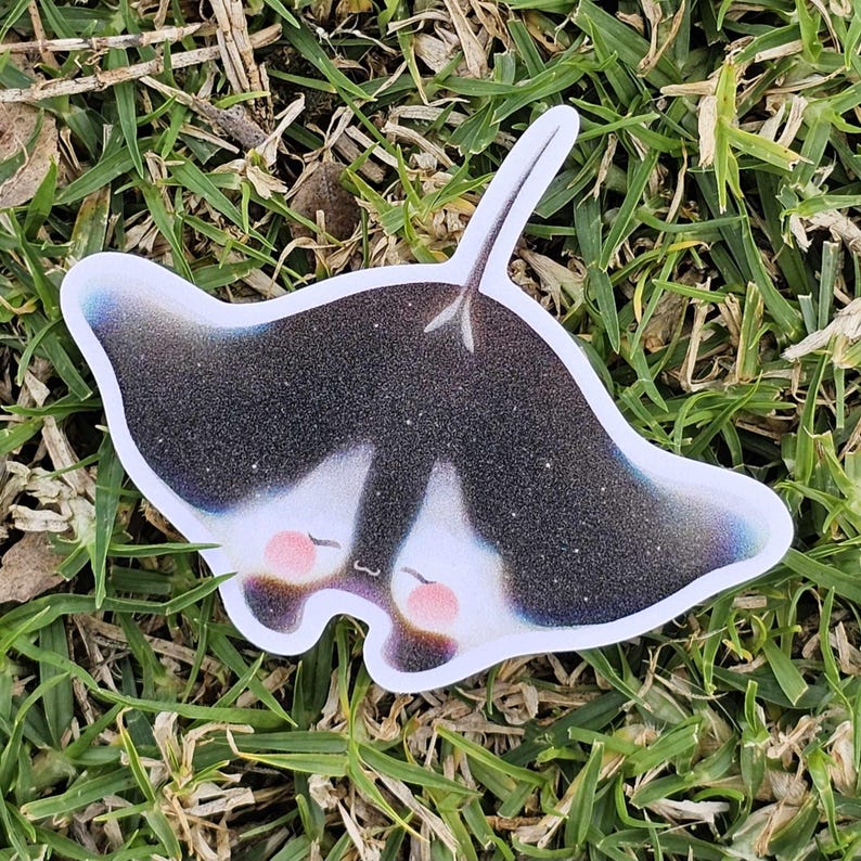 Manta Ray Sand Glitter Frosted Sticker - Etsy