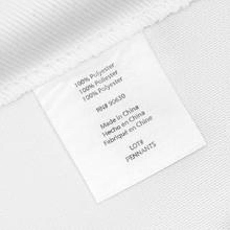 Bearded Dragon Wall Flag - Tiny Dinosaur Pet- Funny Reptile Pennant ...