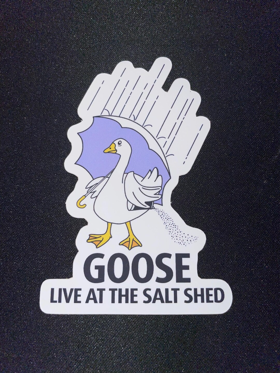 Goose Live at the Salt Shed - Etsy