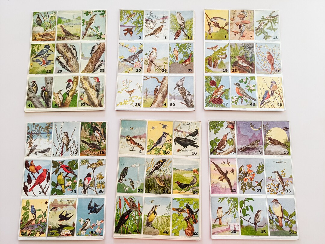 Vintage Bird Prints Art Numbered Illustrations Cards, SOLD INDIVIDUALLY ...