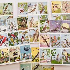 Vintage Bird Prints Art Numbered Illustrations Cards, SOLD INDIVIDUALLY ...