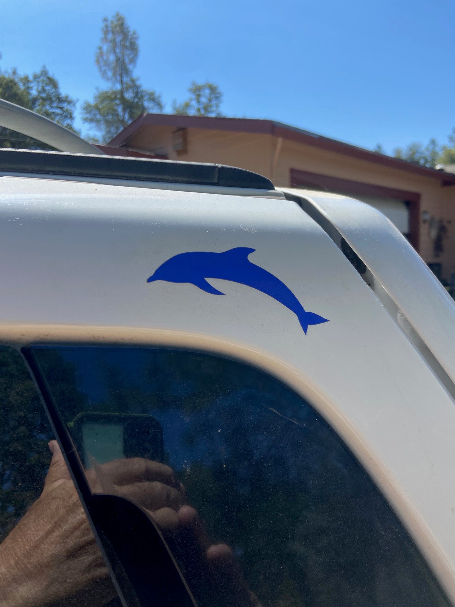 Decal for Cars: Dolphin - Etsy