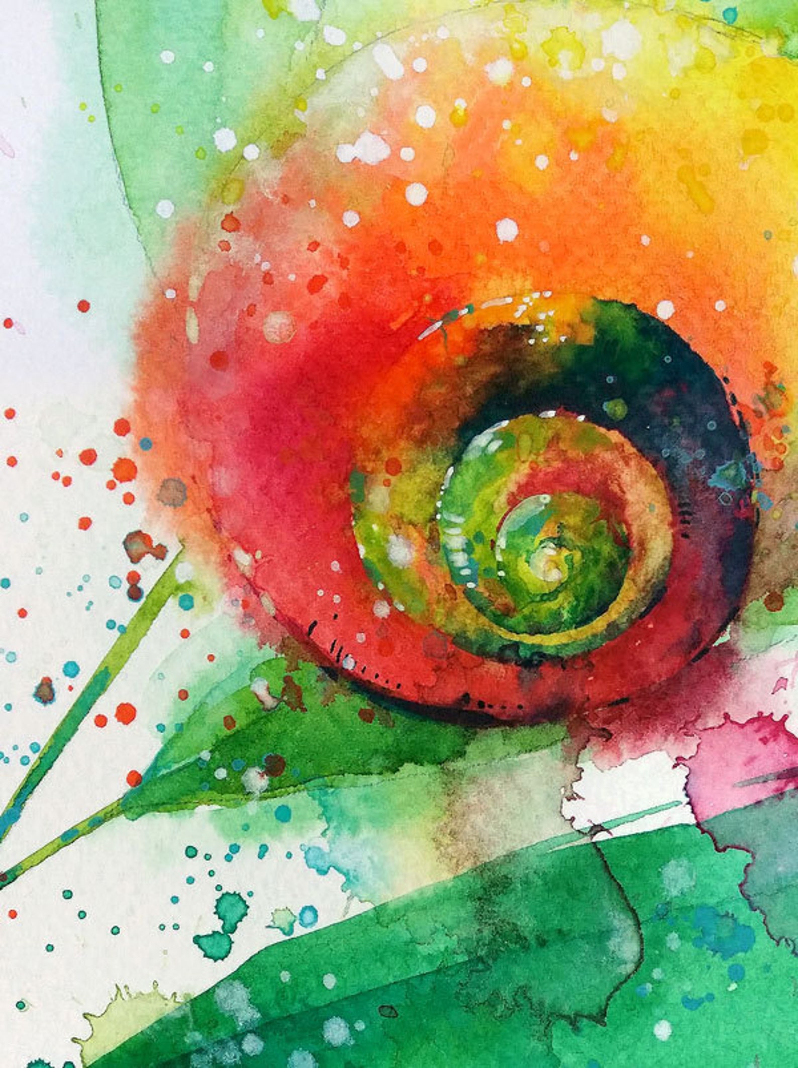 Snail - Watercolour Painting • A4 • A3 • Print - Etsy