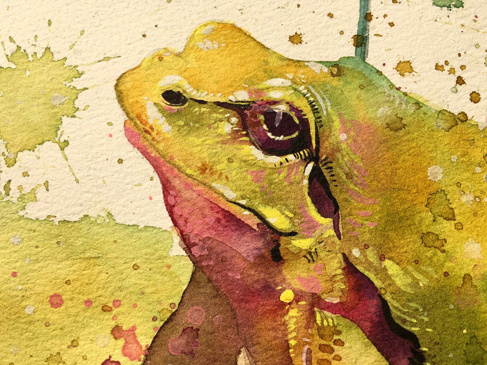 Sunbathing Frog Watercolour Original Painting by Tilen Ti - Etsy