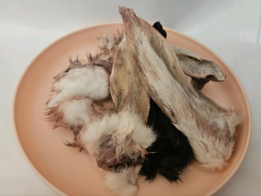 Dehydrated Rabbit Ears - Etsy
