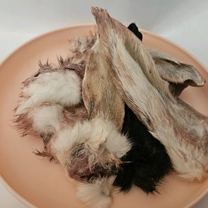 Dehydrated Rabbit Ears - Etsy