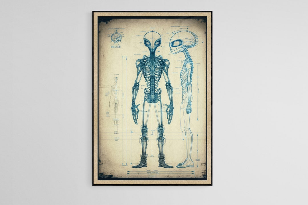 Vintage Illustrations Alien Blueprint Drawings Digital Download ...
