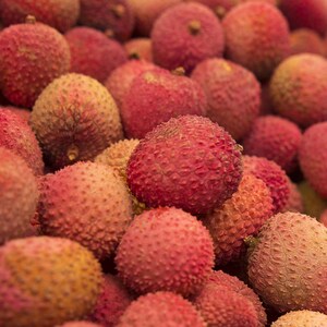 Lychee Fragrance Oil | Candles and Soap Fragrance Oil - Etsy