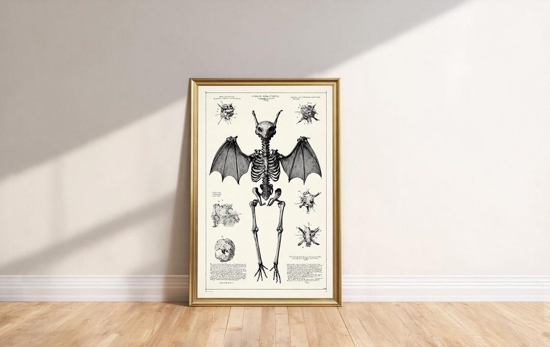 Skeleton Demon Anatomy Printable Art - for Halloween Wall Art, Home ...