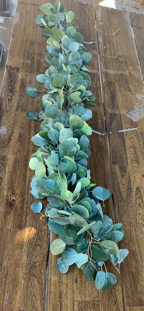 Silver Dollar Eucalyptus Centerpiece