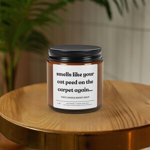 Funny Cat Owner Scented Soy Candle, Smells Like Your Cat Peed on the ...
