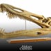 Hand Carved Ash Wood Suchomimus Dinosaur Skull: Paleoart Sculpture - Etsy