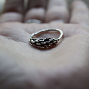 Nature Ring , Silver Plant Ring, Terrarium Ring, Succulent Ring ...