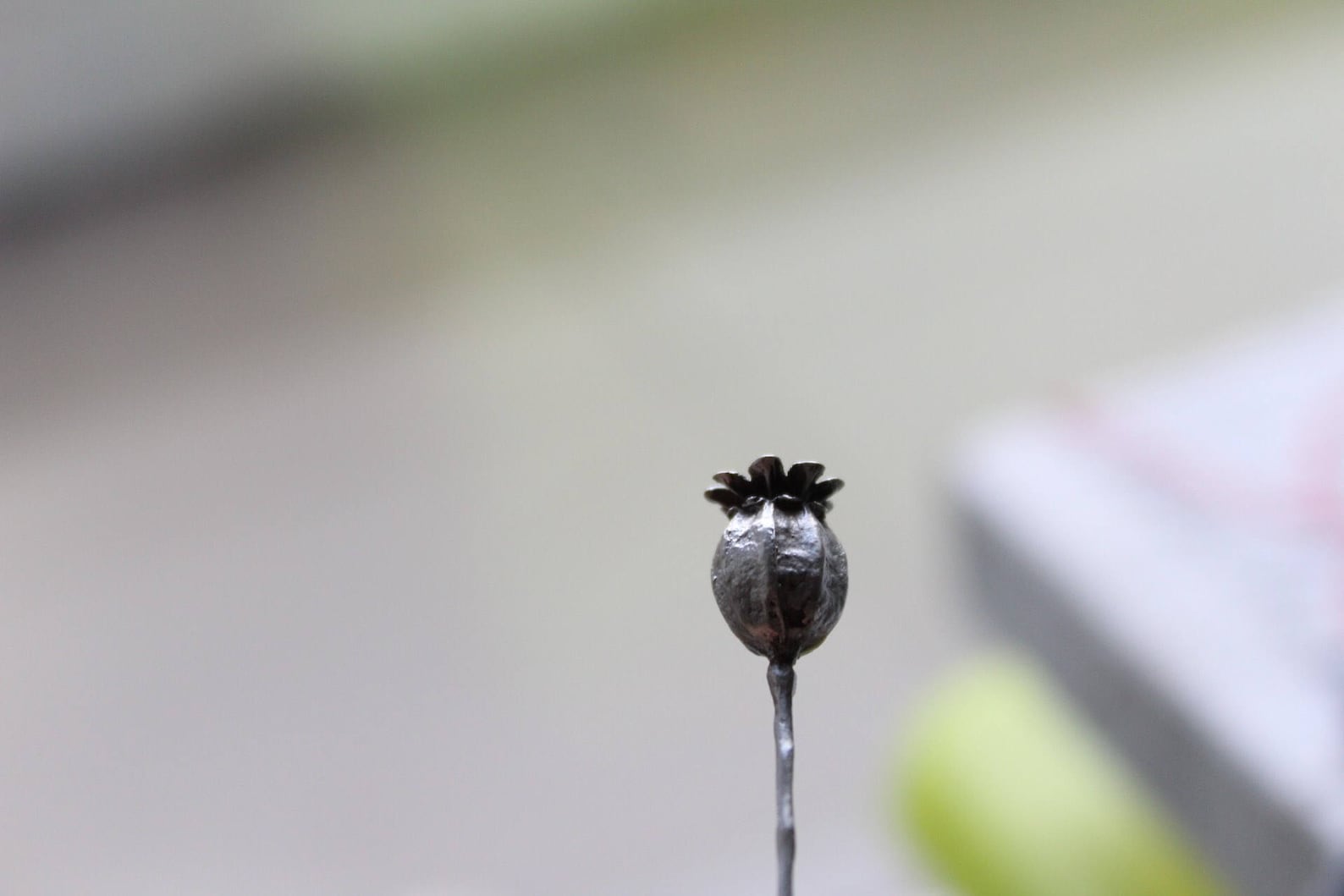 Poppy Pod Pin sterling Silver Brooch-nature Pin Stick-poppy - Etsy