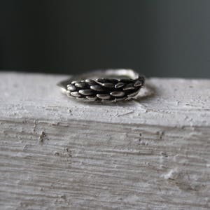 Nature Ring , Silver Plant Ring, Terrarium Ring, Succulent Ring ...