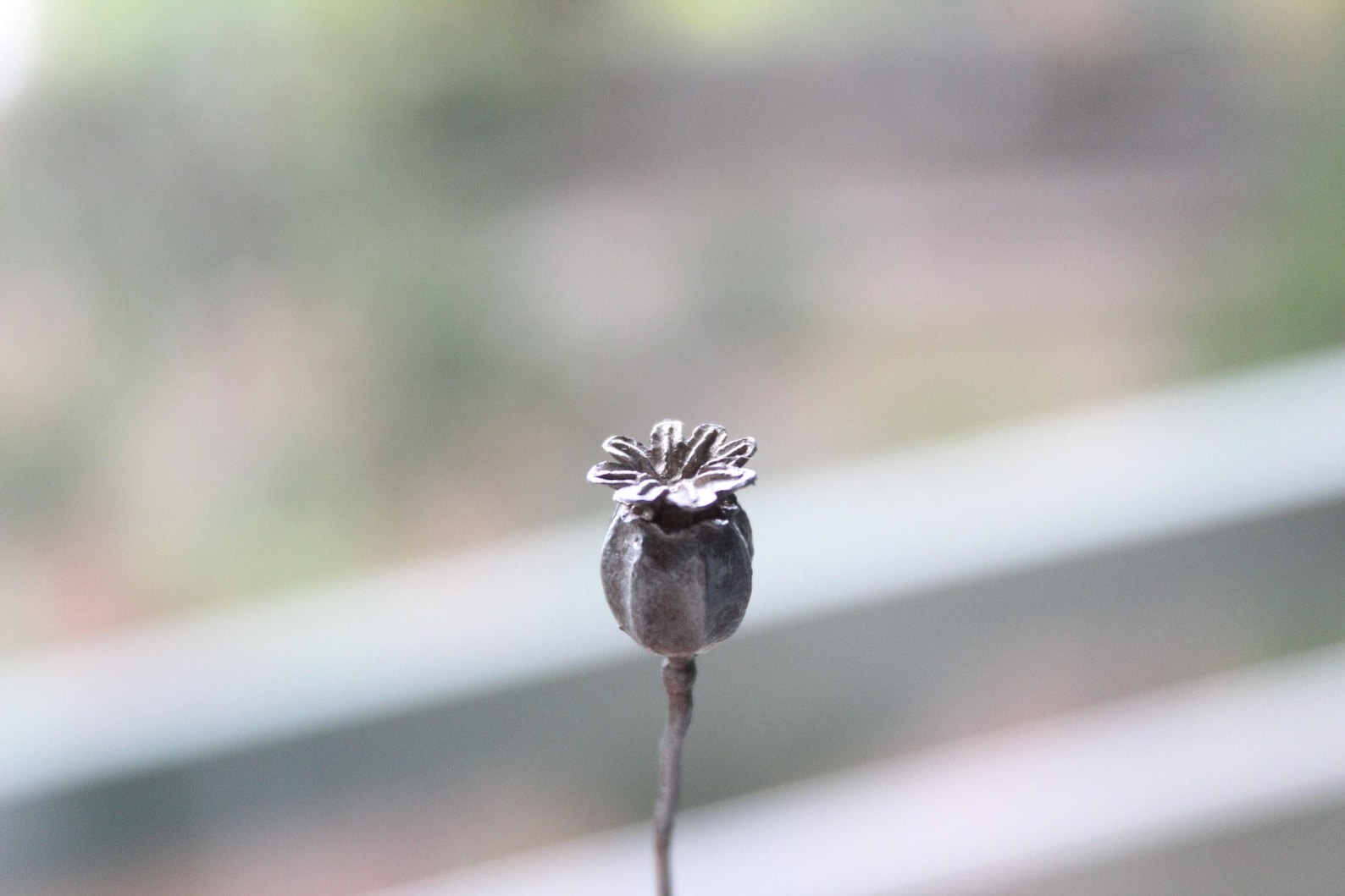 Poppy Pod Pin sterling Silver Brooch-nature Pin Stick-poppy - Etsy