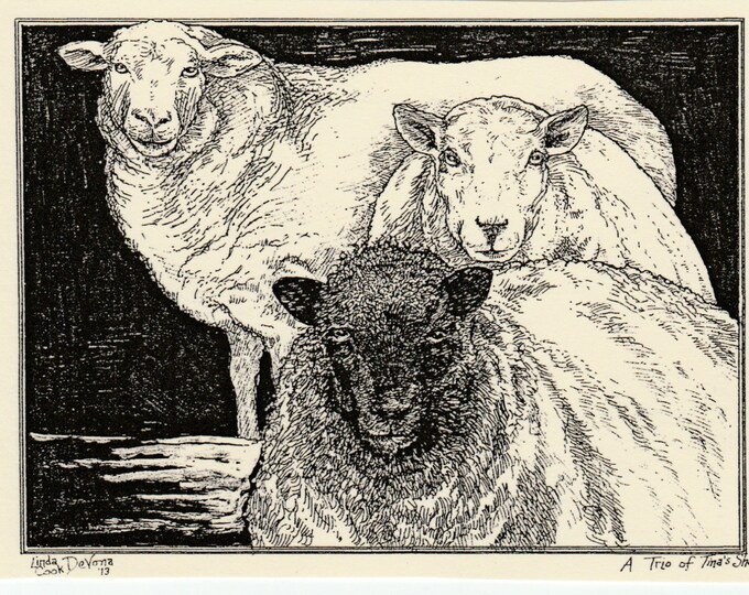 5 Sheep Stationery Flat Cards Sheep Card Set - Etsy